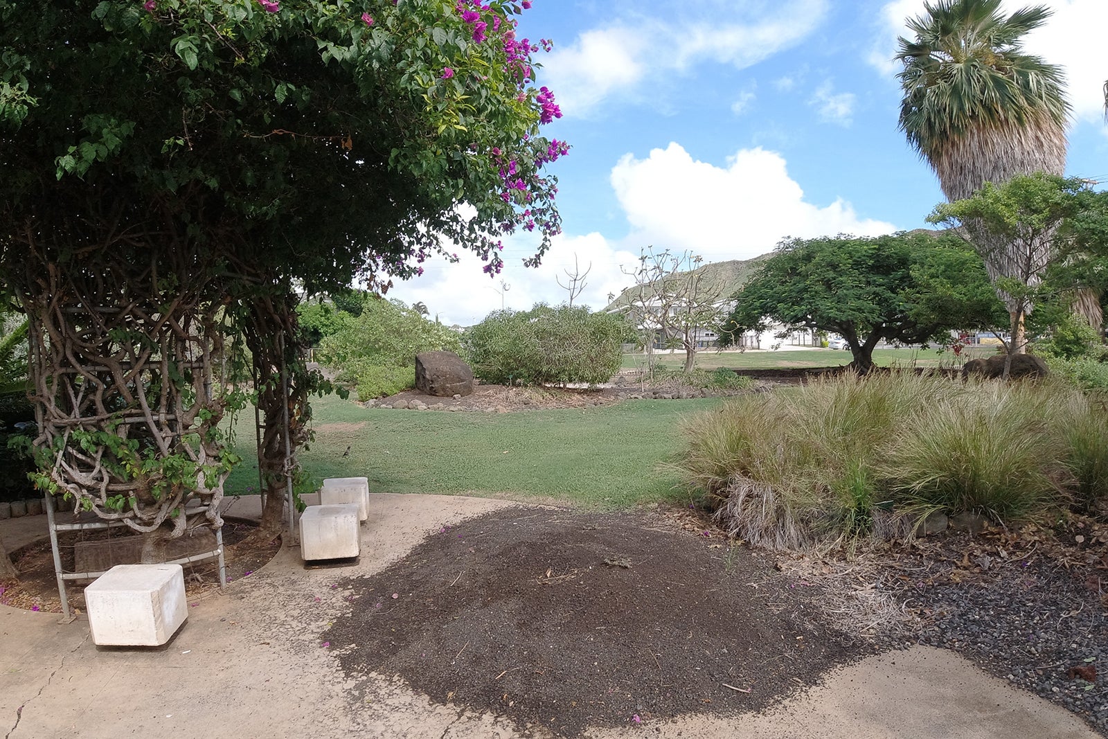 Le’ahi Millennium Peace Garden - Explore True Natural History and ...