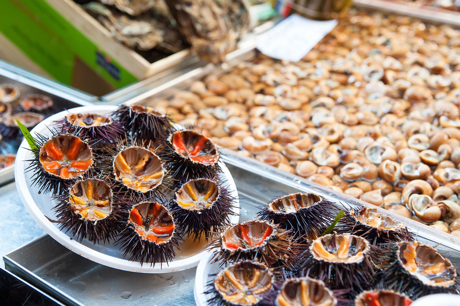 10 Best Local Dishes From Fiji - Enjoy Some Local Specialties to ...