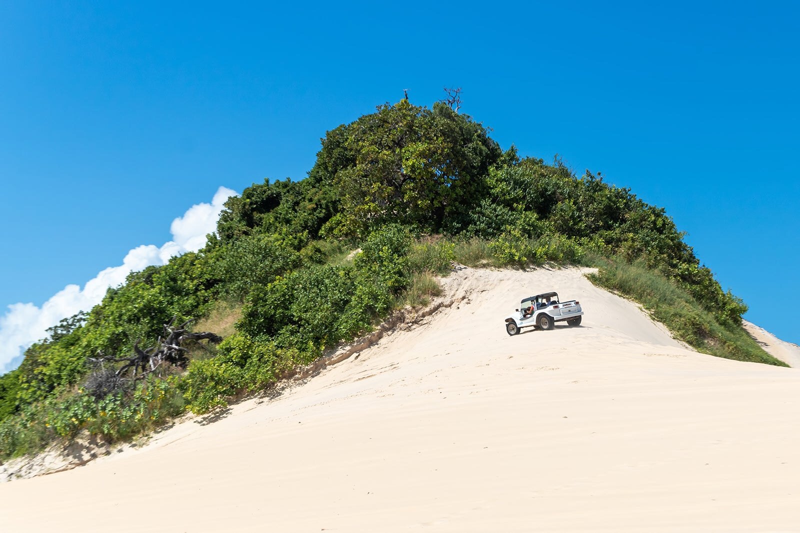10 melhores coisas para fazer em Pipa - O que fazer para se divertir em ...