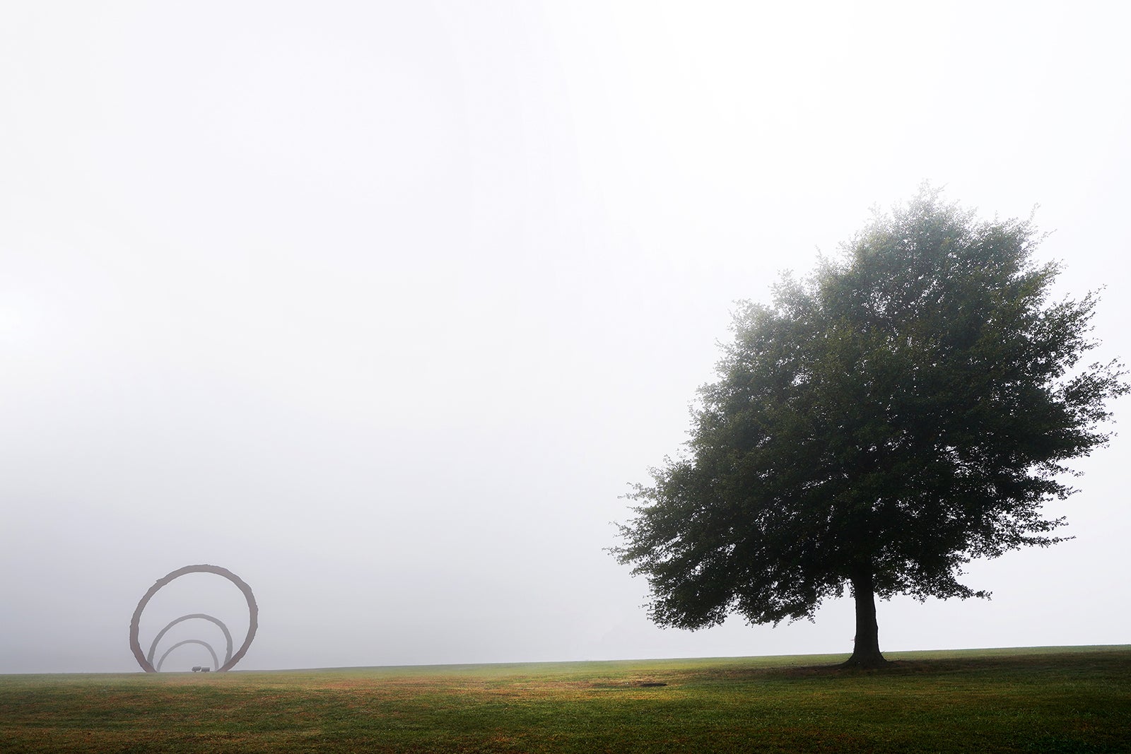 10 Best Things to Do in Raleigh - What is Raleigh Most Famous For? – Go ...