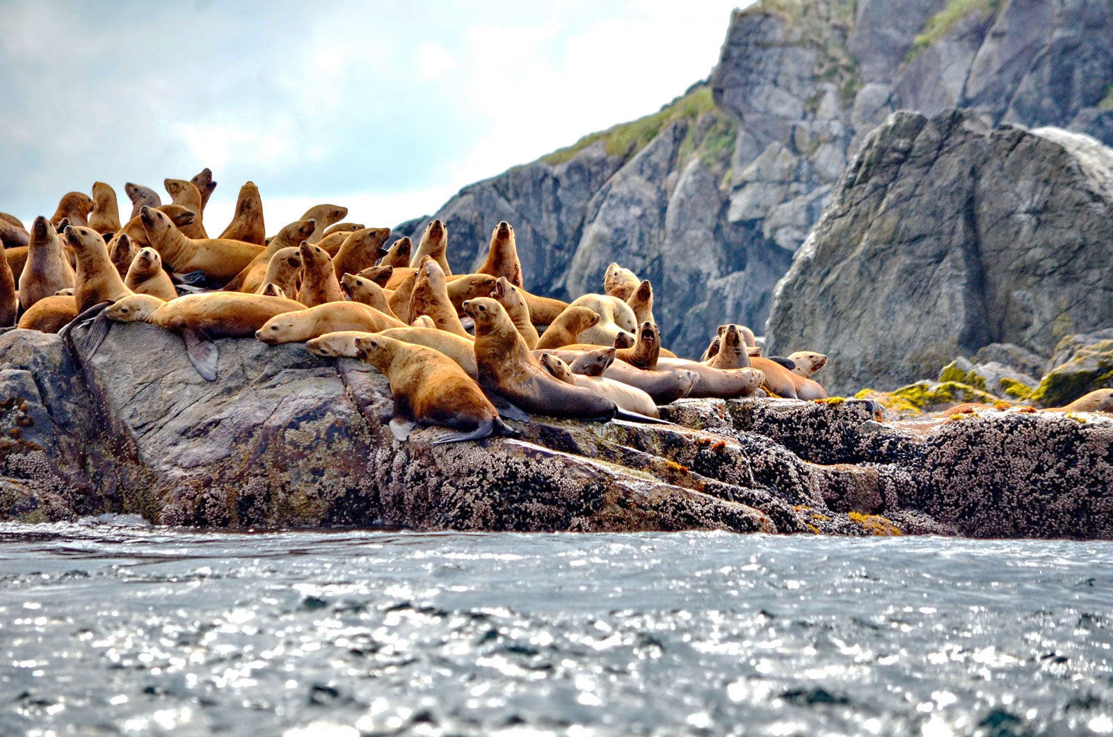 10 Best National Parks in Canada - Escape to Canada’s Most Beautiful ...