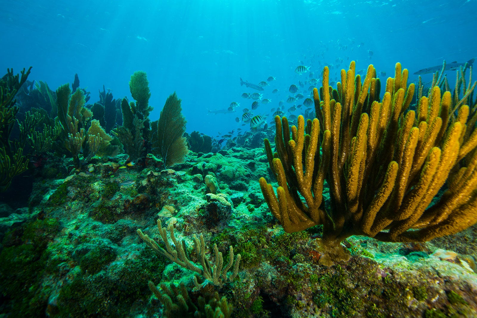 10 Best Key West Museums - Where to Discover Key West's History, Art ...