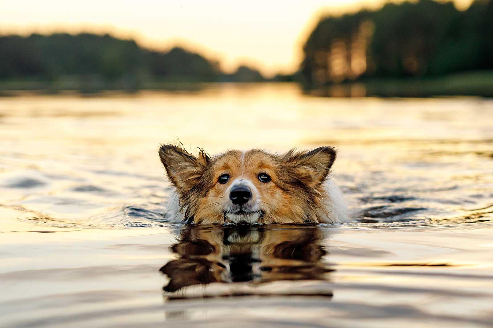 10 Best Parks in Newbury - Explore Newbury's Most Beautiful Outdoor ...