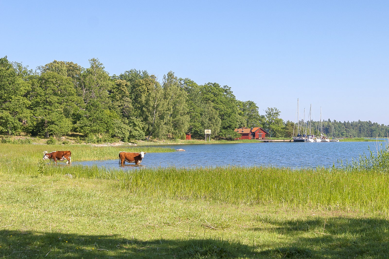 Finnhamn nära Stockholm - Variationsrik skärgårdsö med naturen i ...