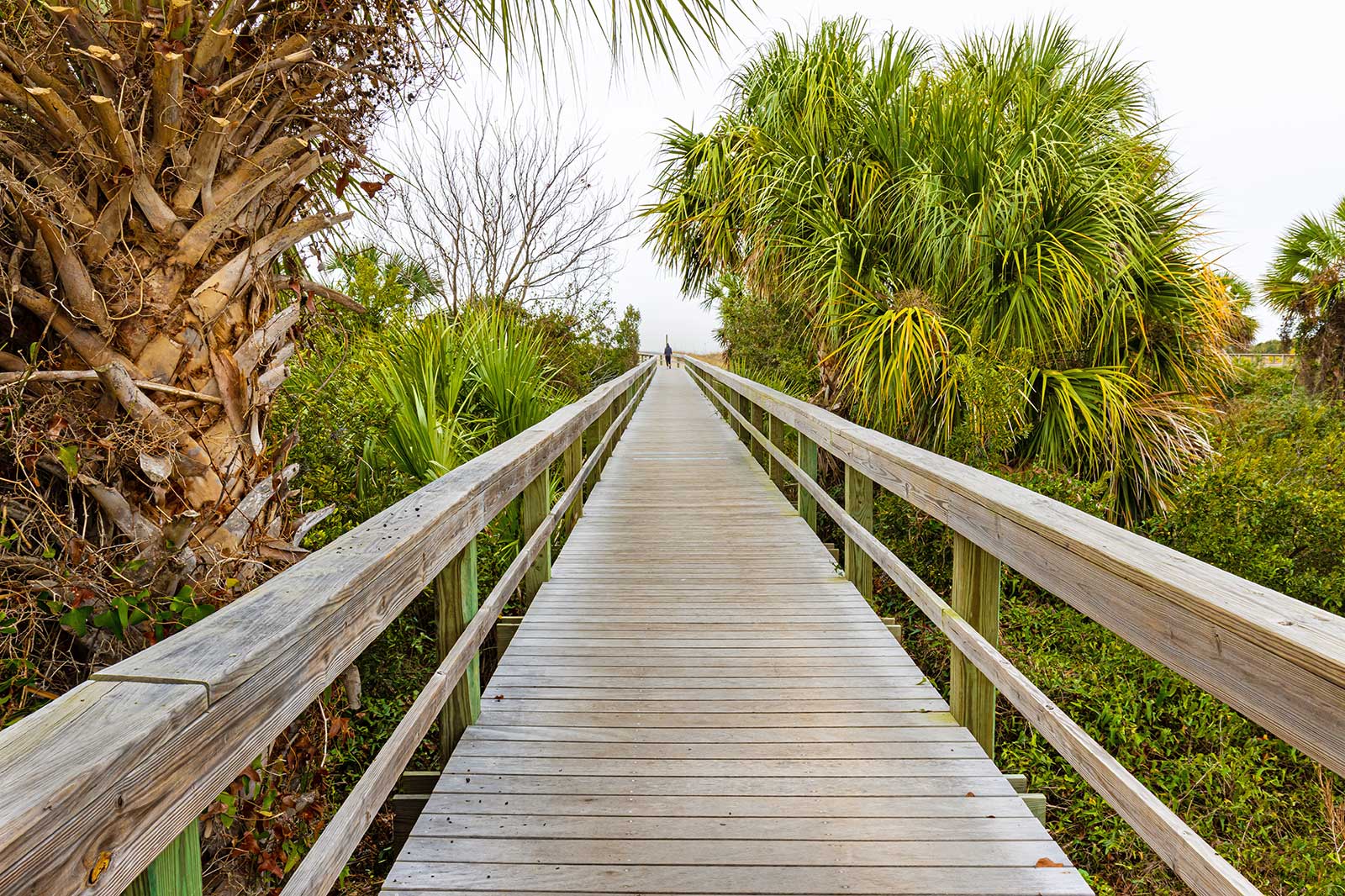 10 Best Beaches in Savannah - What is the Most Popular Beach in ...