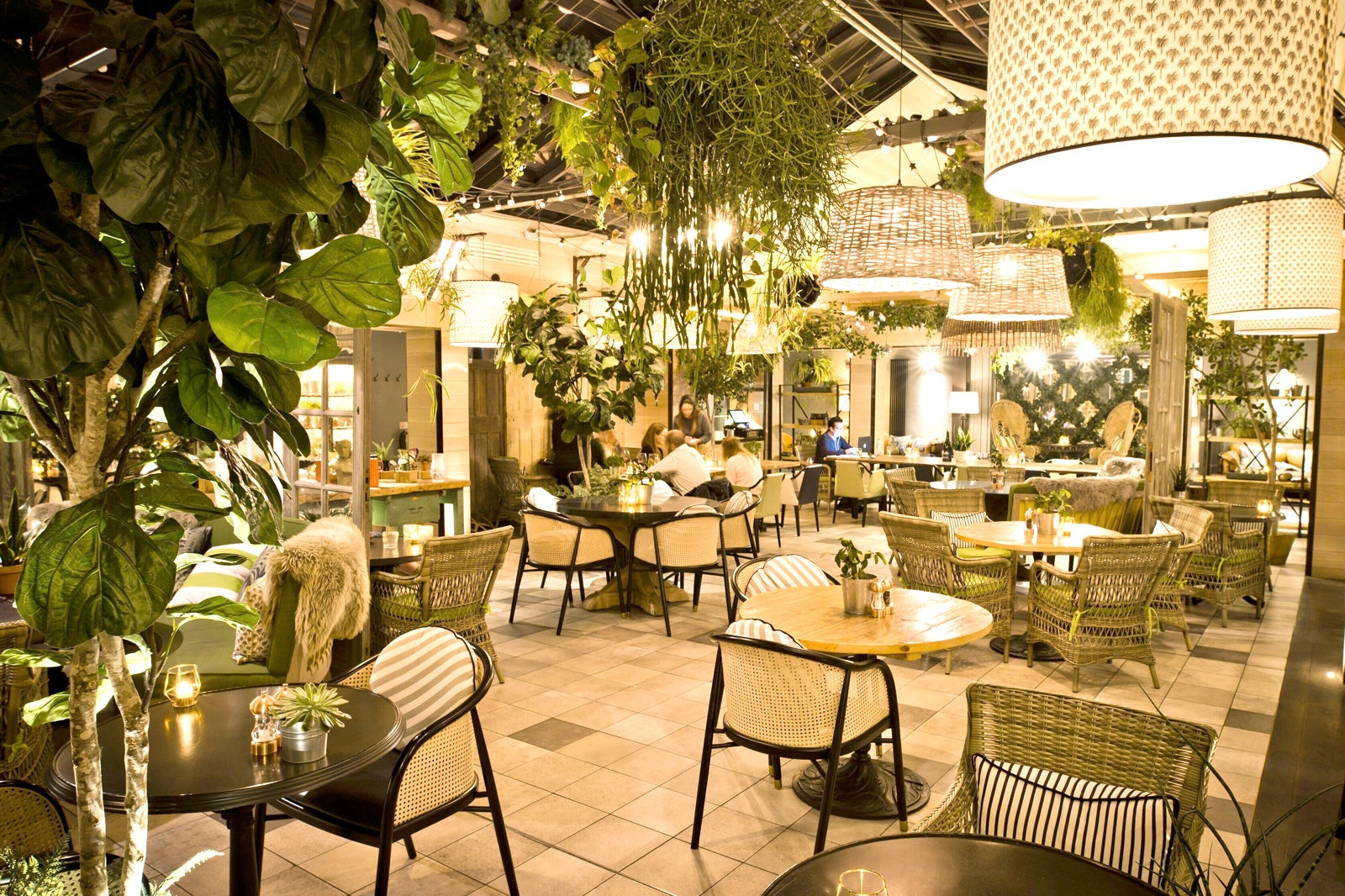 10 Great Restaurants in Edinburgh - Where to Eat in Edinburgh and What ...