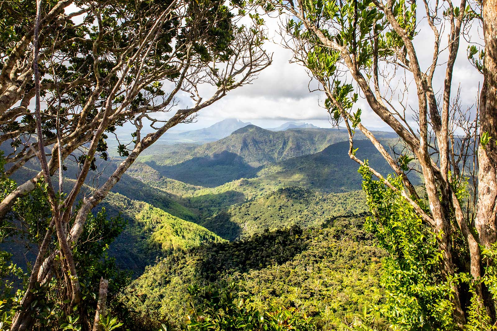 10 Best Hikes in Mauritius - Take a Walk Around Mauritius’ Most Beautiful Landscapes - Go Guides