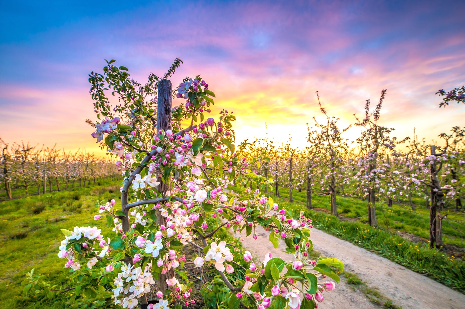 10 Best Road Trips near Hamburg - Escape to Northern Germany this ...