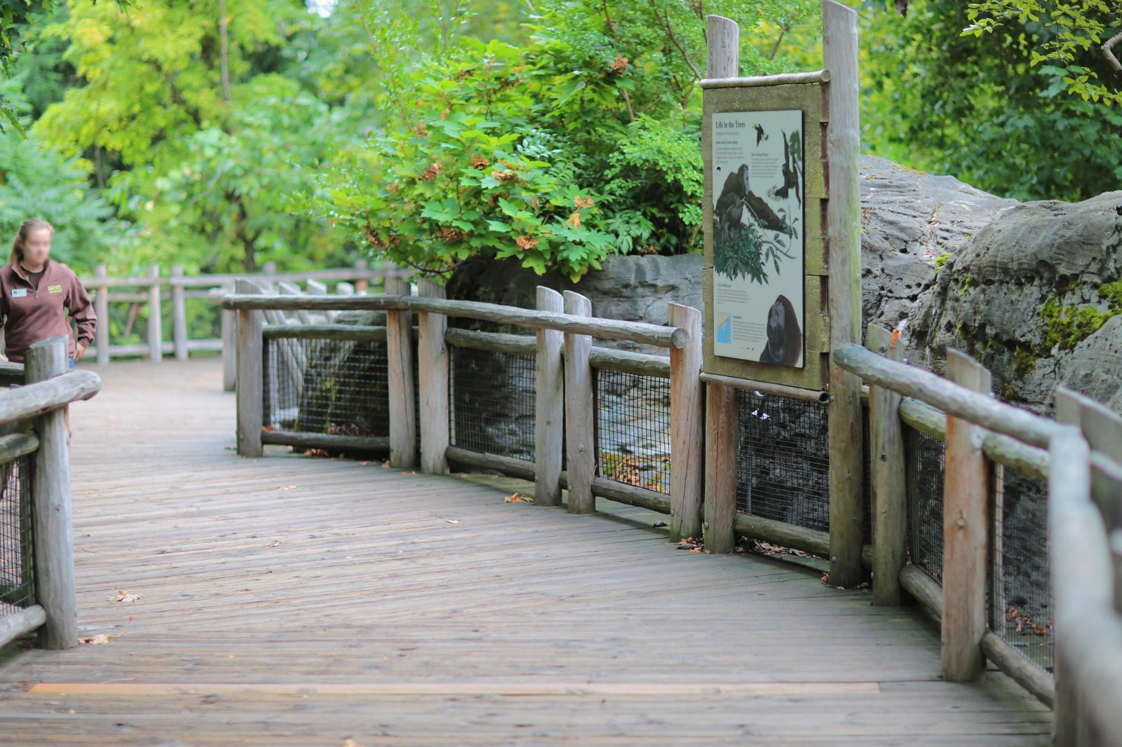 Woodland Park in Seattle - Enjoy Outdoor Fun by the Lake - Go Guides