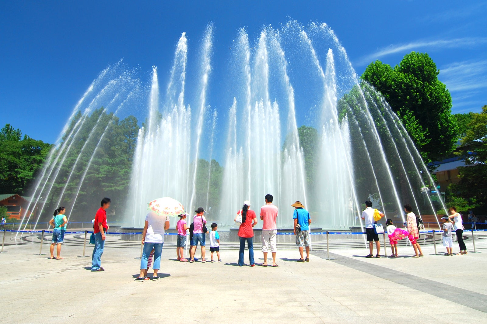 10 Best Family Things to Do in Seoul - Fun Places in Seoul to Take Your ...