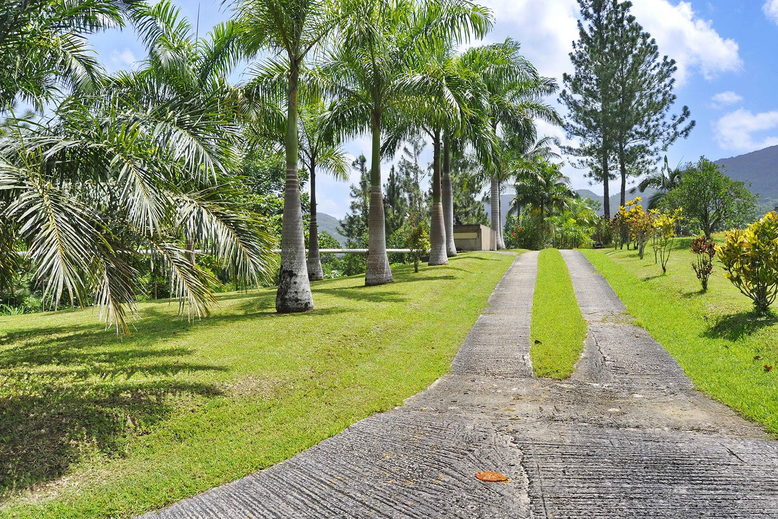10 Best Things to Do in Montego Bay - What is Montego Bay Most Famous ...