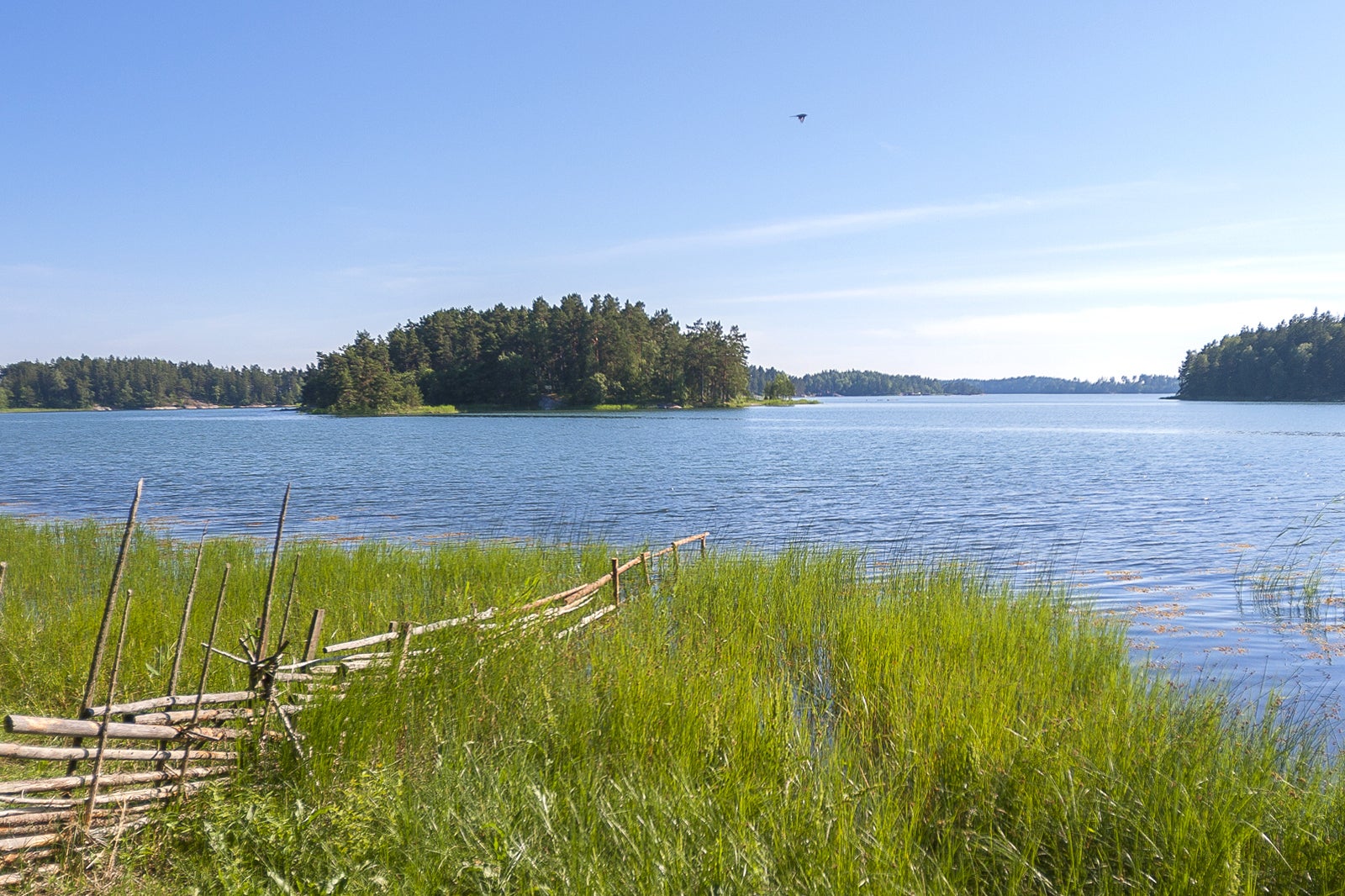 Finnhamn nära Stockholm - Variationsrik skärgårdsö med naturen i ...