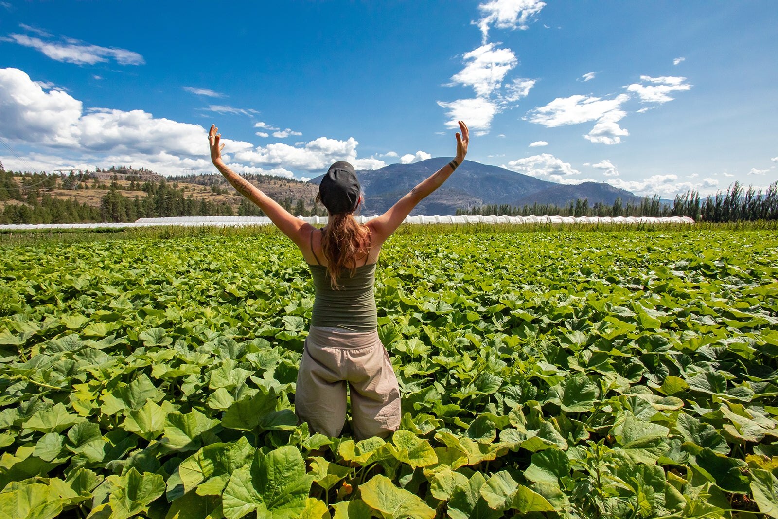 10 Best Summer Road Trips from Canada - Escape to North America’s Most ...