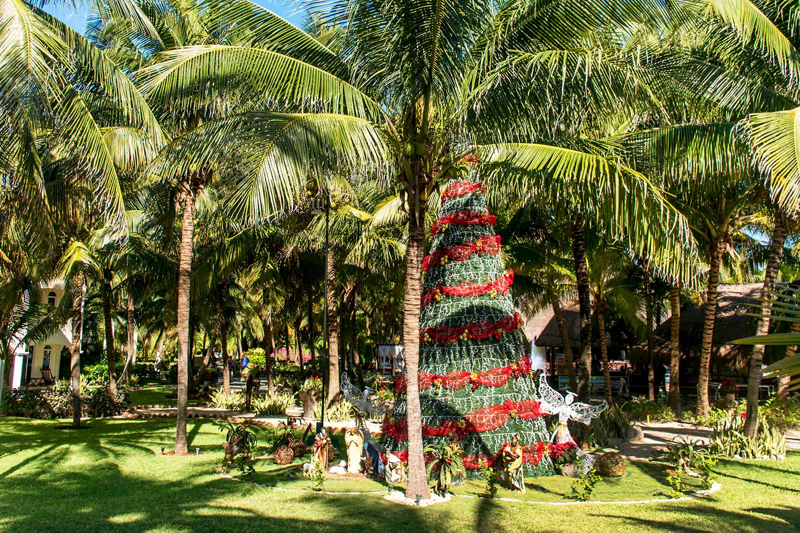 10 Best Places to Celebrate Christmas in Mexico - Where to Celebrate ...