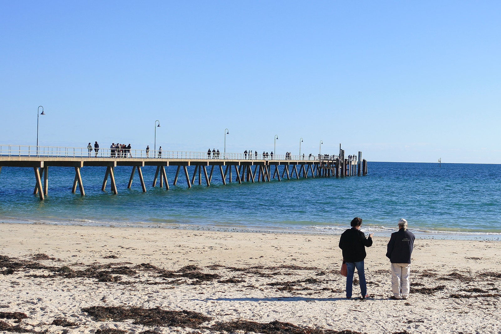 10 Best Beaches in Adelaide - What is the Most Popular Beach in ...