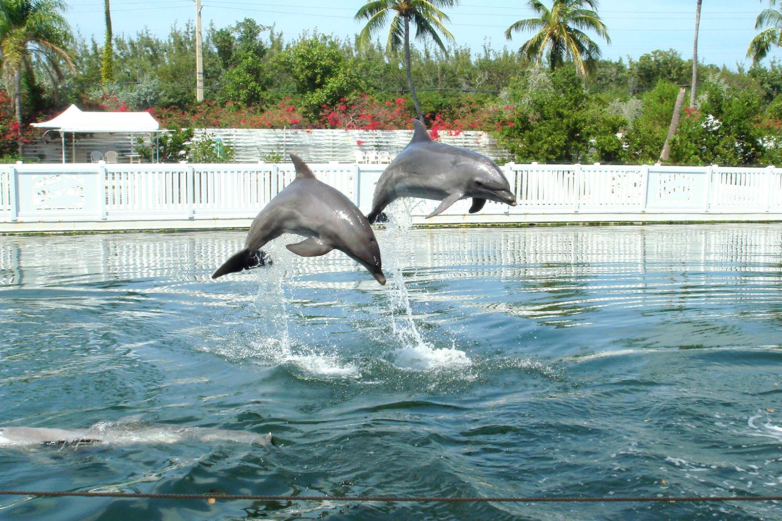 10 Best Family Things to Do in Florida Keys - Fun Places in the Florida ...