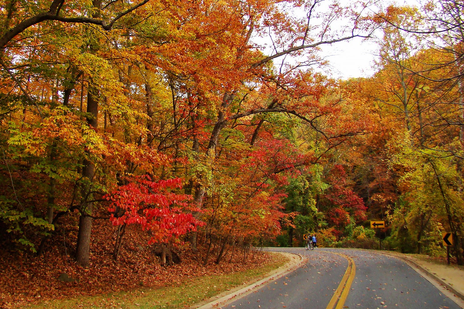 10 Most Popular Streets in Washington DC - Take a Walk Down Washington ...