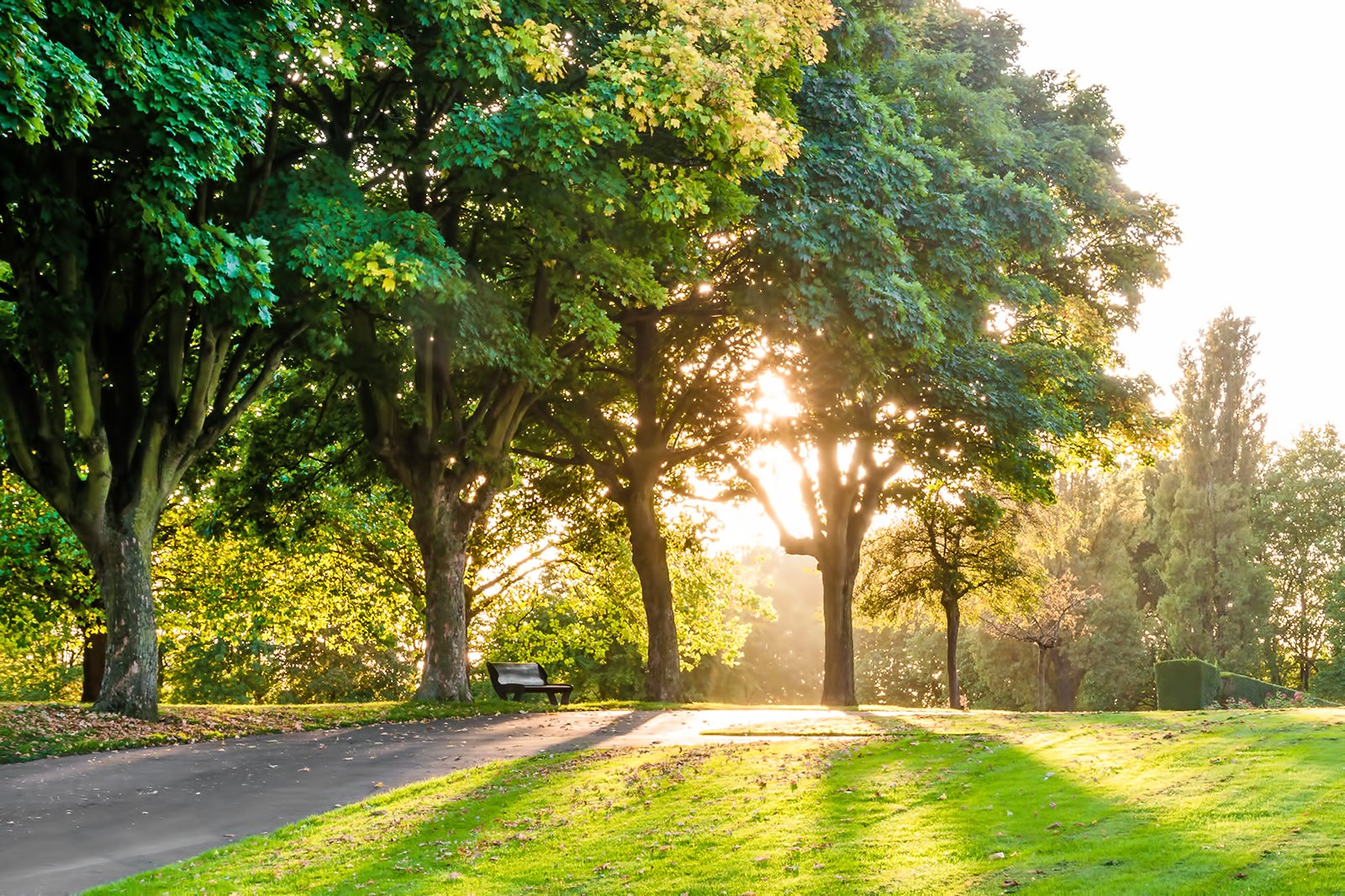 10 Best Parks in Birmingham - Explore Hiking and Cycling Trails ...