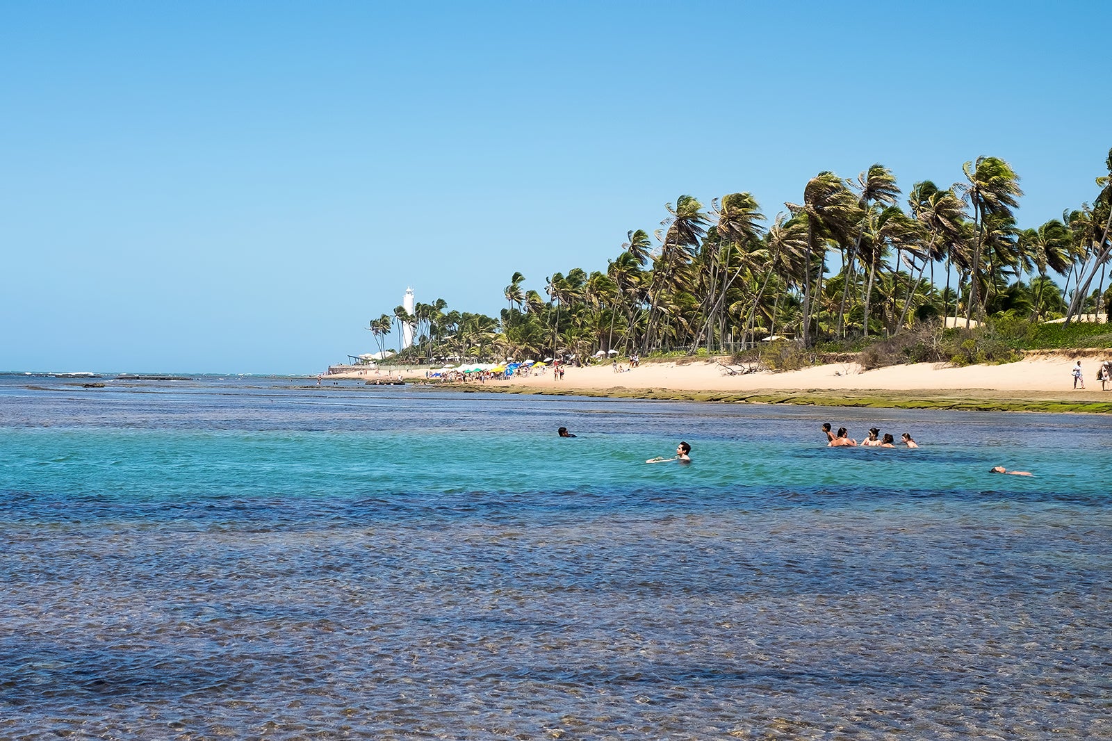 9 melhores passeios na Praia do Forte, na Bahia - Descubra a Praia do ...