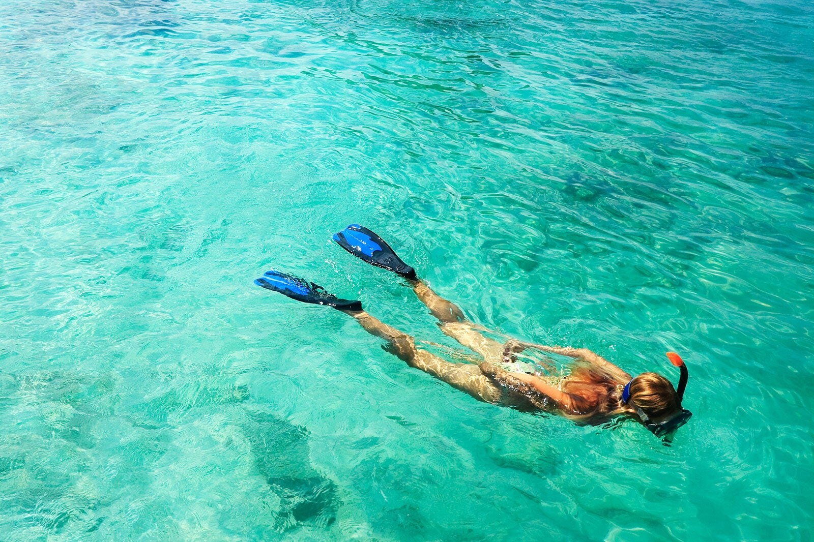 10 Best Places to Go Snorkeling in Key West - Where to Go in Key West ...