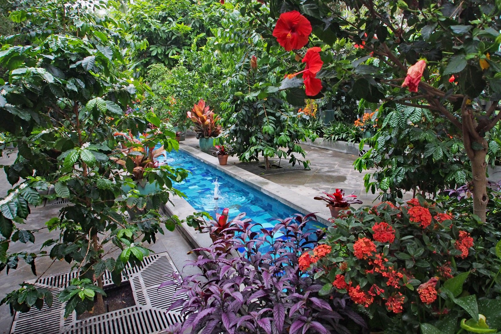 United States Botanic Garden in Washington DC - Take in the Beauty of a ...