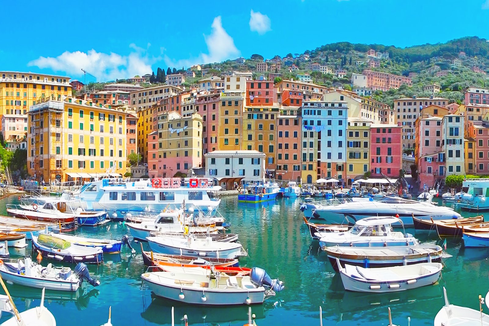 Genoa - What You Need to Know Before You Go