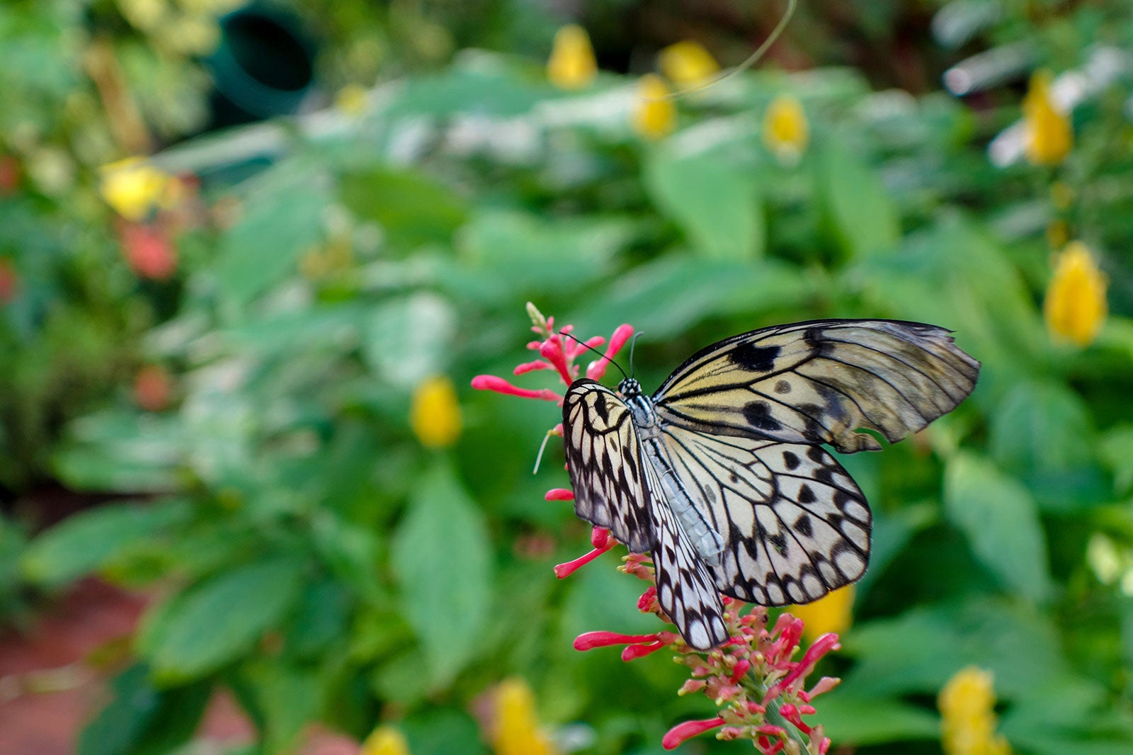10 Best Key West Museums - Where to Discover Key West's History, Art ...