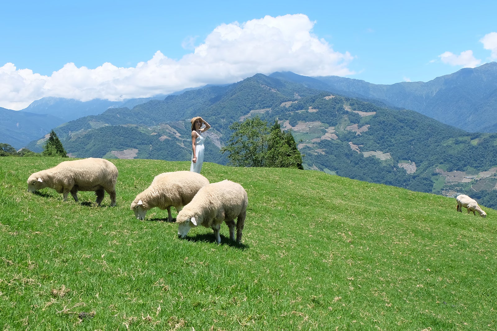 10 Best Places Locals Love to Go in Nantou - Most Popular Places Locals ...