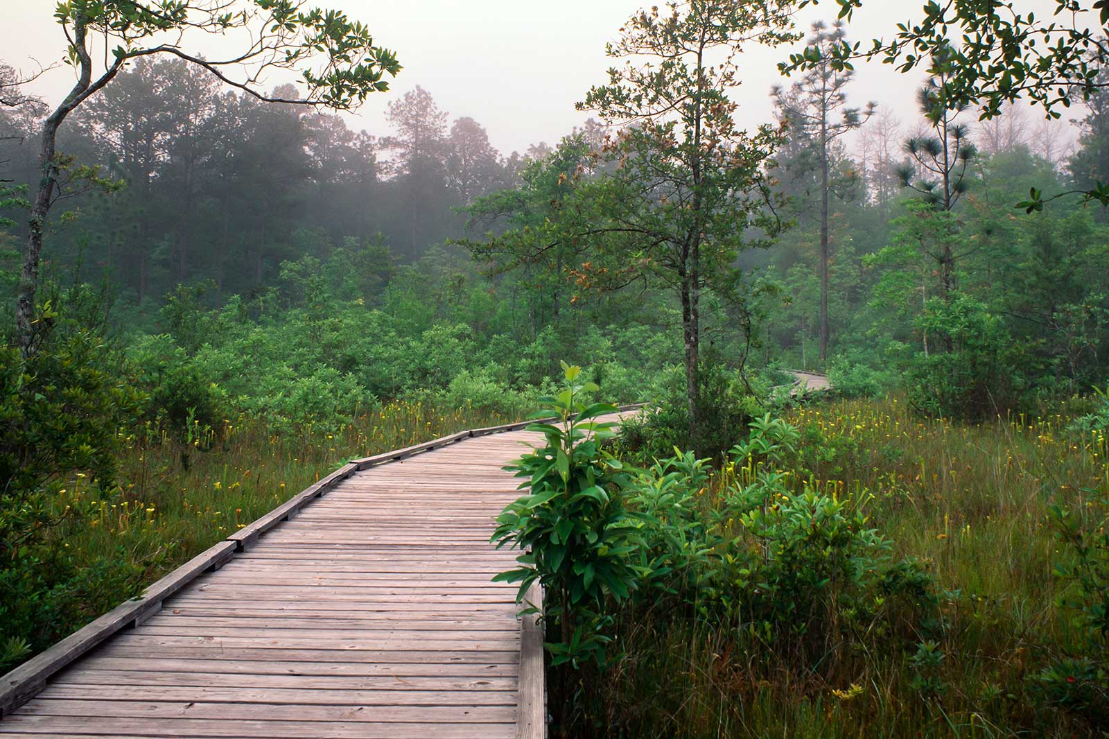 10 Best National Parks in Texas - Escape to Texas's Most Beautiful ...