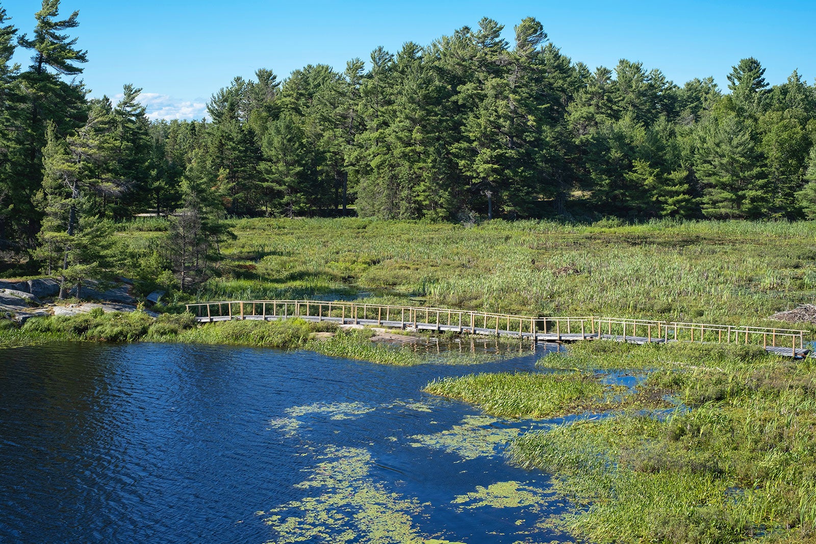10 Best Beaches in Toronto - What is the Most Popular Beach in Toronto ...