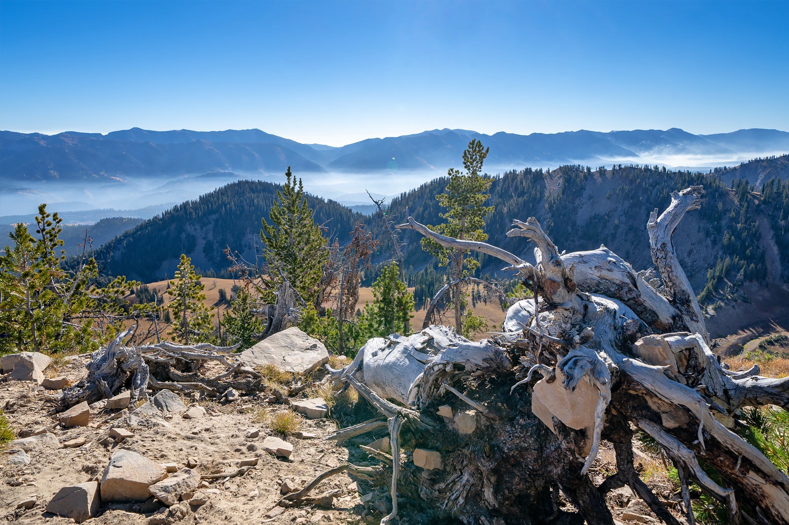 10 Best Things to Do in Wyoming - Discover the Top Activities in ...