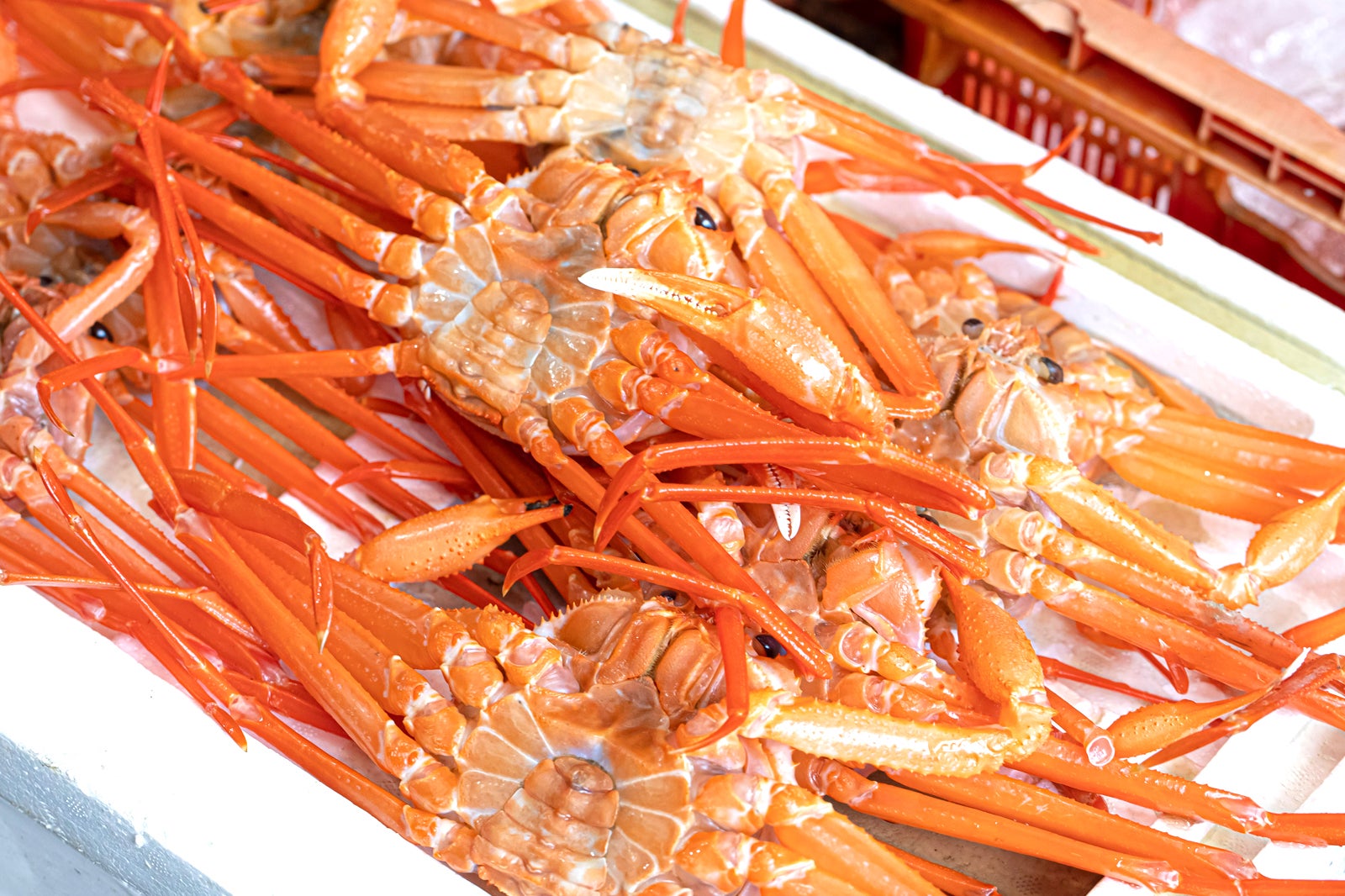 10 Best Local Dishes from Pohang - Famous Food Locals Love to Eat in ...