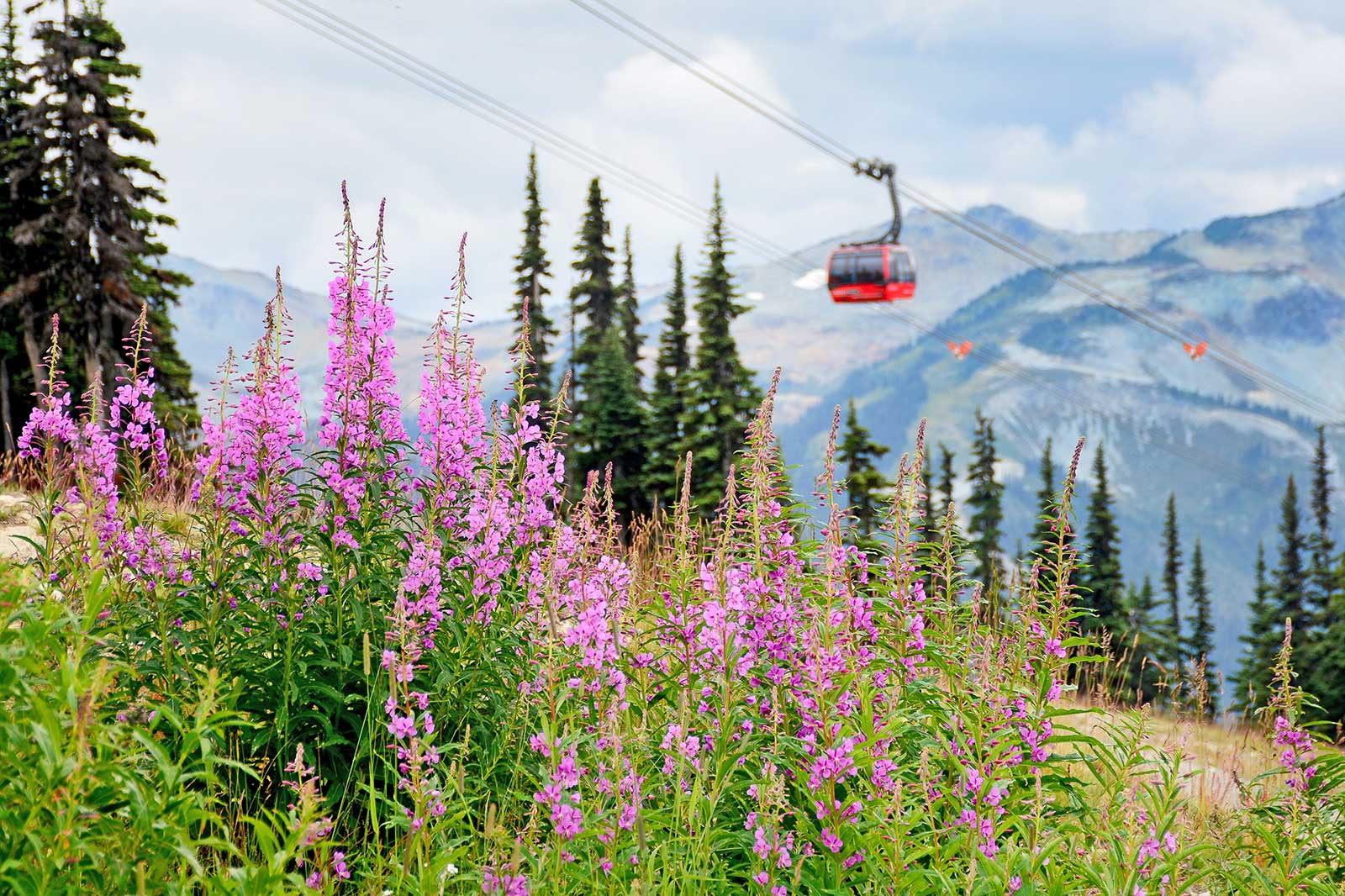 10 Best Things to Do in Canada - What is Canada Most Famous For? - Go ...