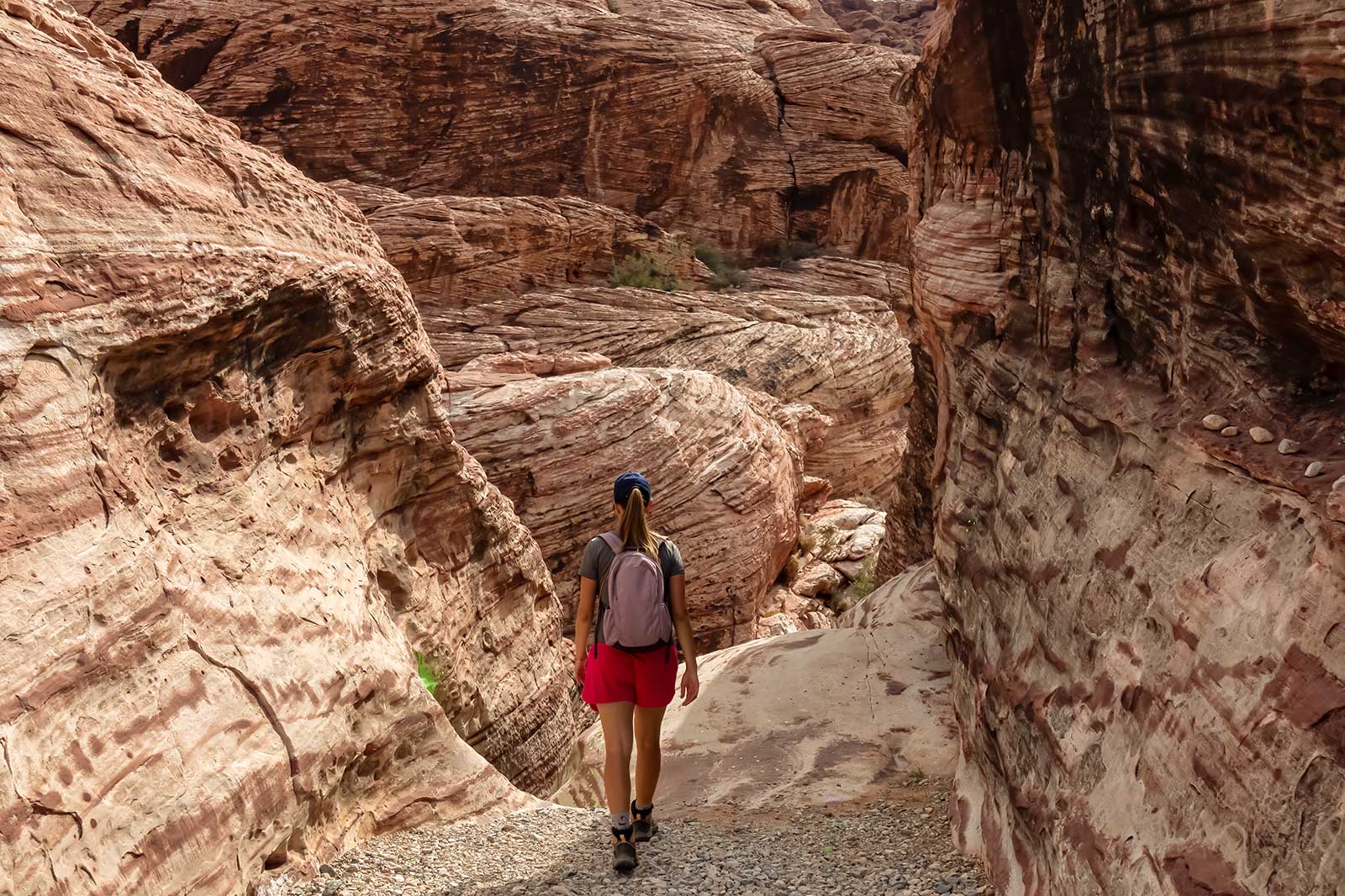 10 Best Hiking Trails in Las Vegas - Take a Walk Around Las Vegas' Most Beautiful Landscapes ...
