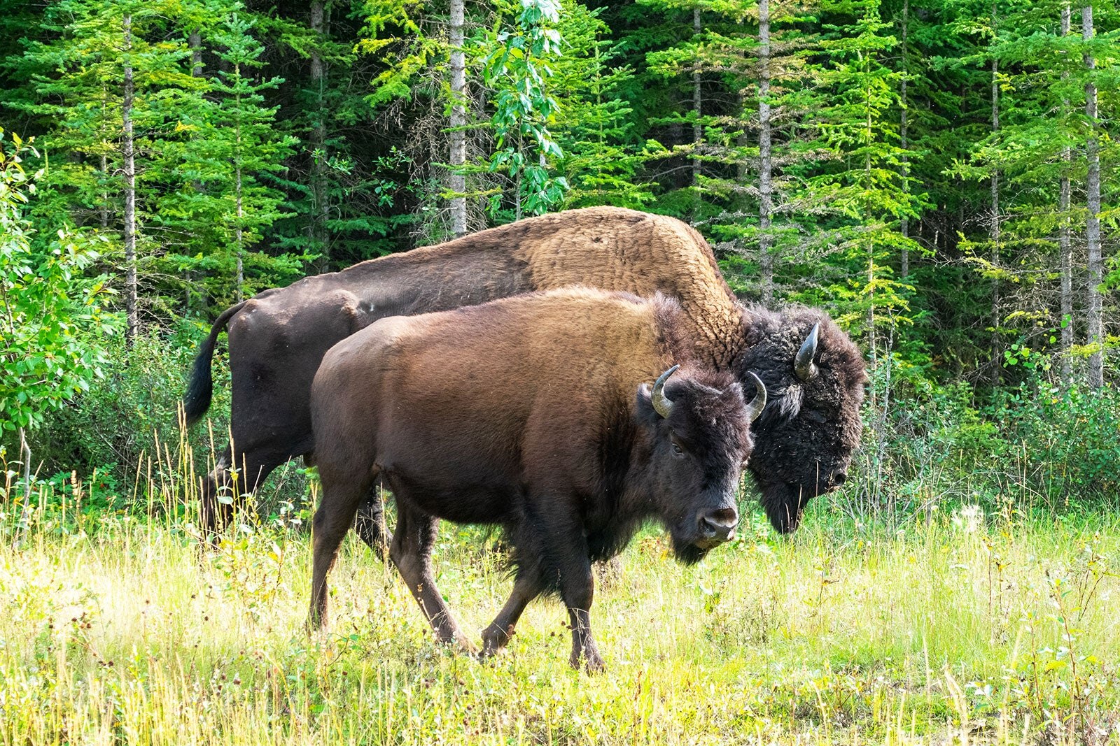 10 Best Places to Visit in Alberta - What is Alberta Most Famous For ...