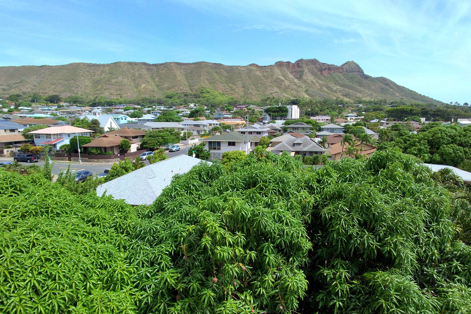 10 Most Popular Neighbourhoods in Honolulu - Where to Stay in Honolulu ...