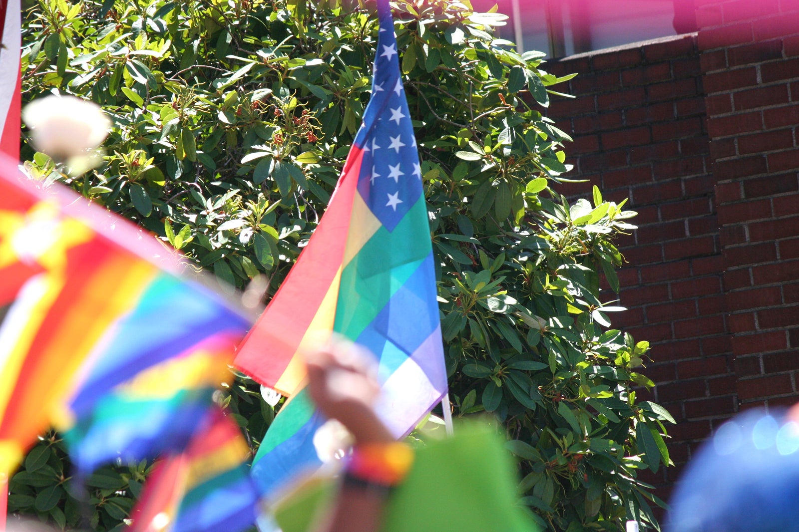 10 Best Festivals in Seattle - Seattle Celebrations You Won't Find ...