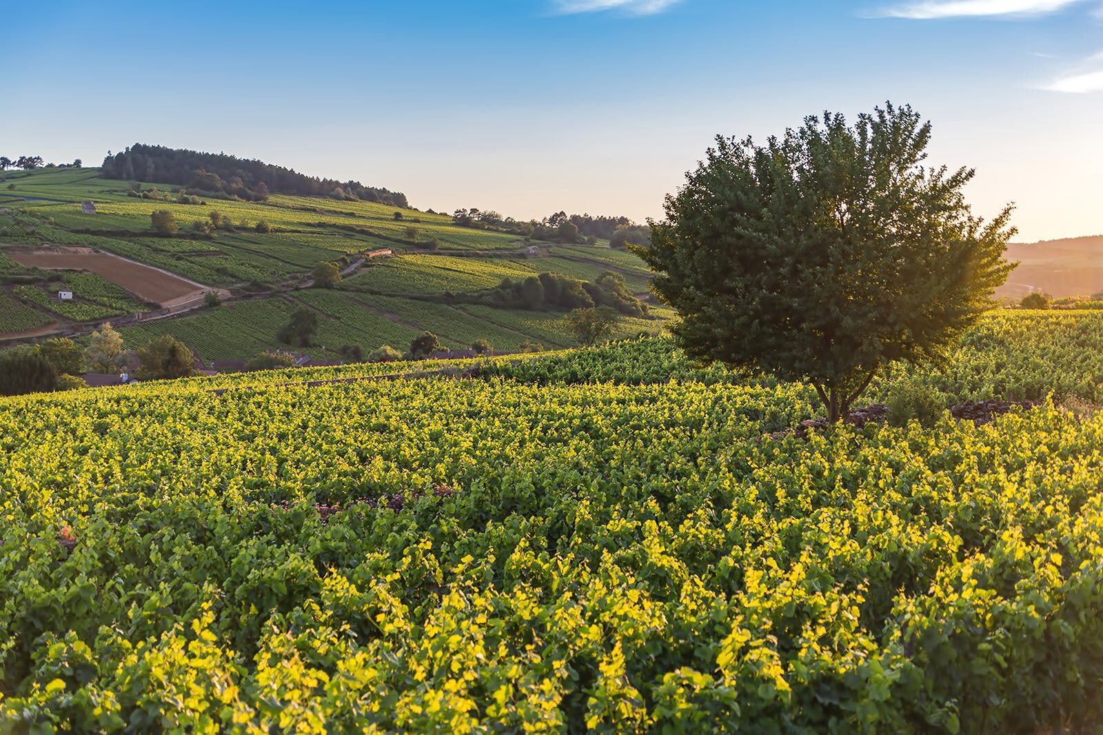Vacances d’été en famille : 10 destinations en France - Où partir avec ...