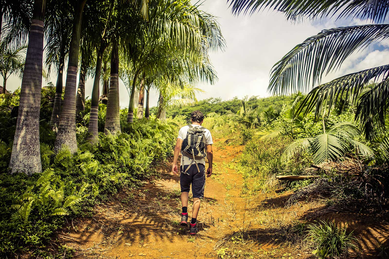 10 Best Hikes in Mauritius - Take a Walk Around Mauritius’ Most ...