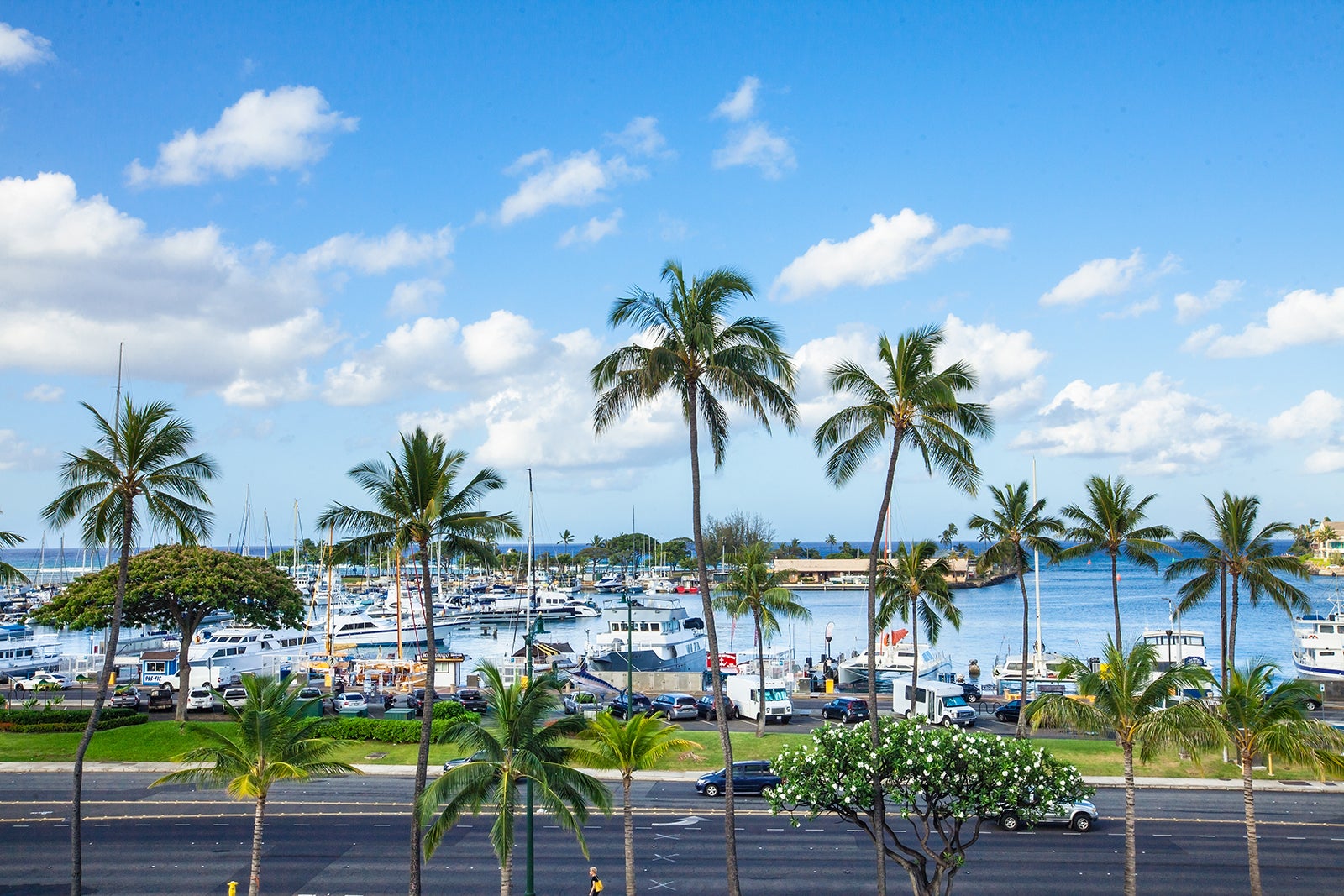 11 Most Popular Neighbourhoods in Honolulu - Where to Stay in Honolulu ...