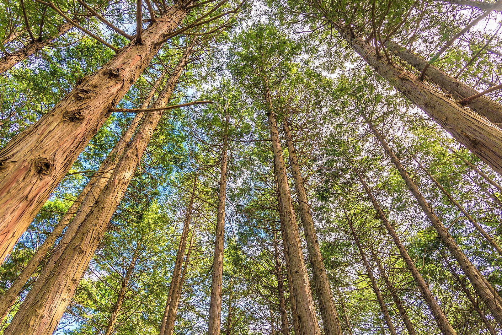 10 Best Natural Wonders in Sendai - Take a Road Trip Through Sendai ...