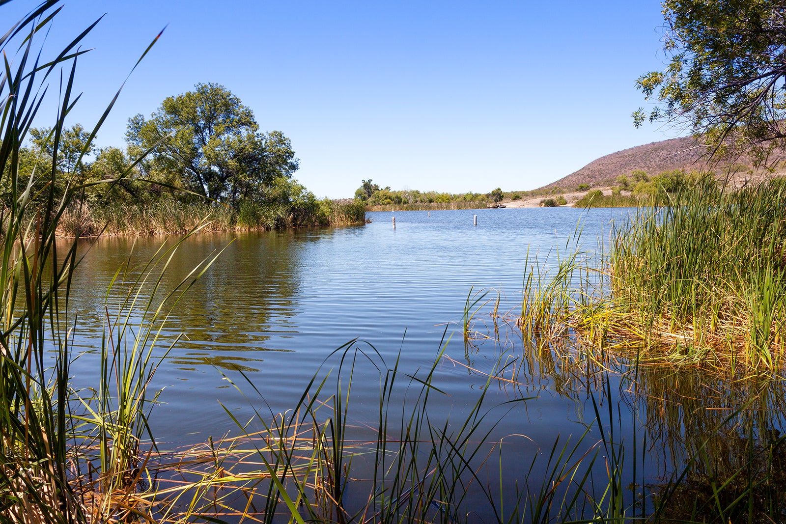 10 Best Hidden Gems in Phoenix - Interesting Places in Phoenix Only ...
