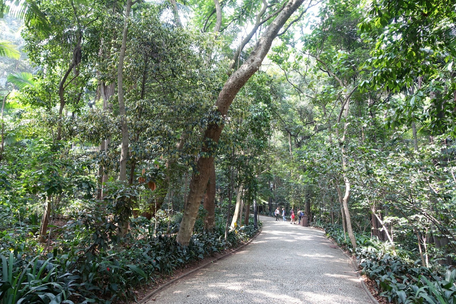 Parque Trianon - Refúgio verde na maior avenida de São Paulo - Go Guides
