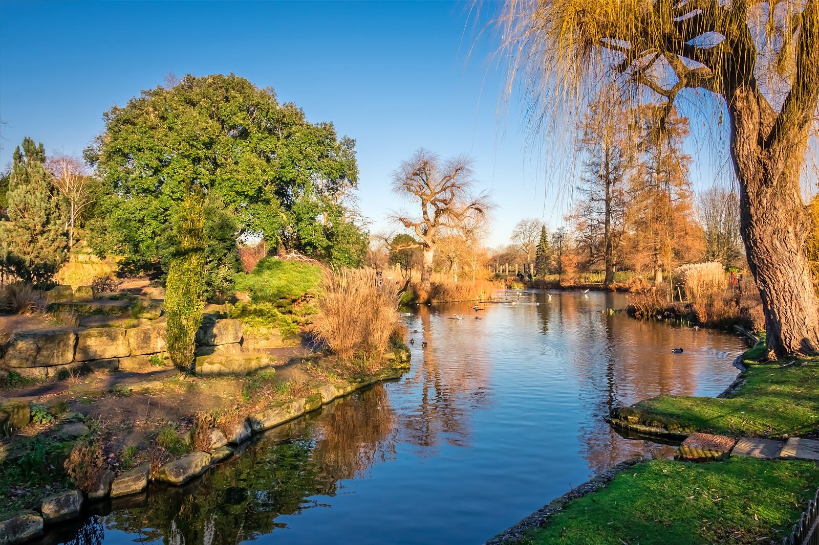 Regent s Park In London See The Diverse Attractions In A Vast Regent s Park In London See The Diverse Attractions In A Vast