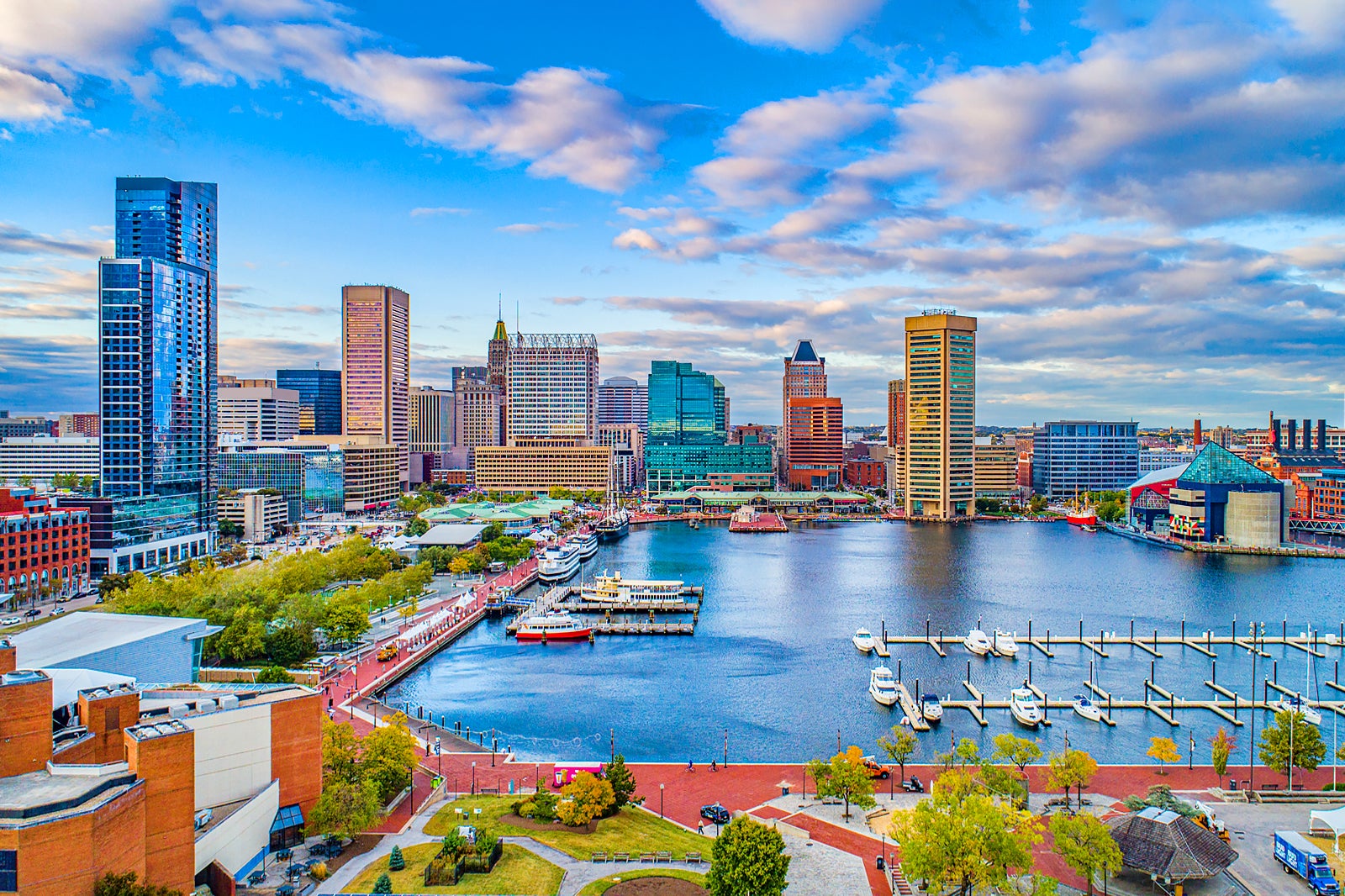 Navigating Maryland Craigslist Pets: A Comprehensive Guide to ...