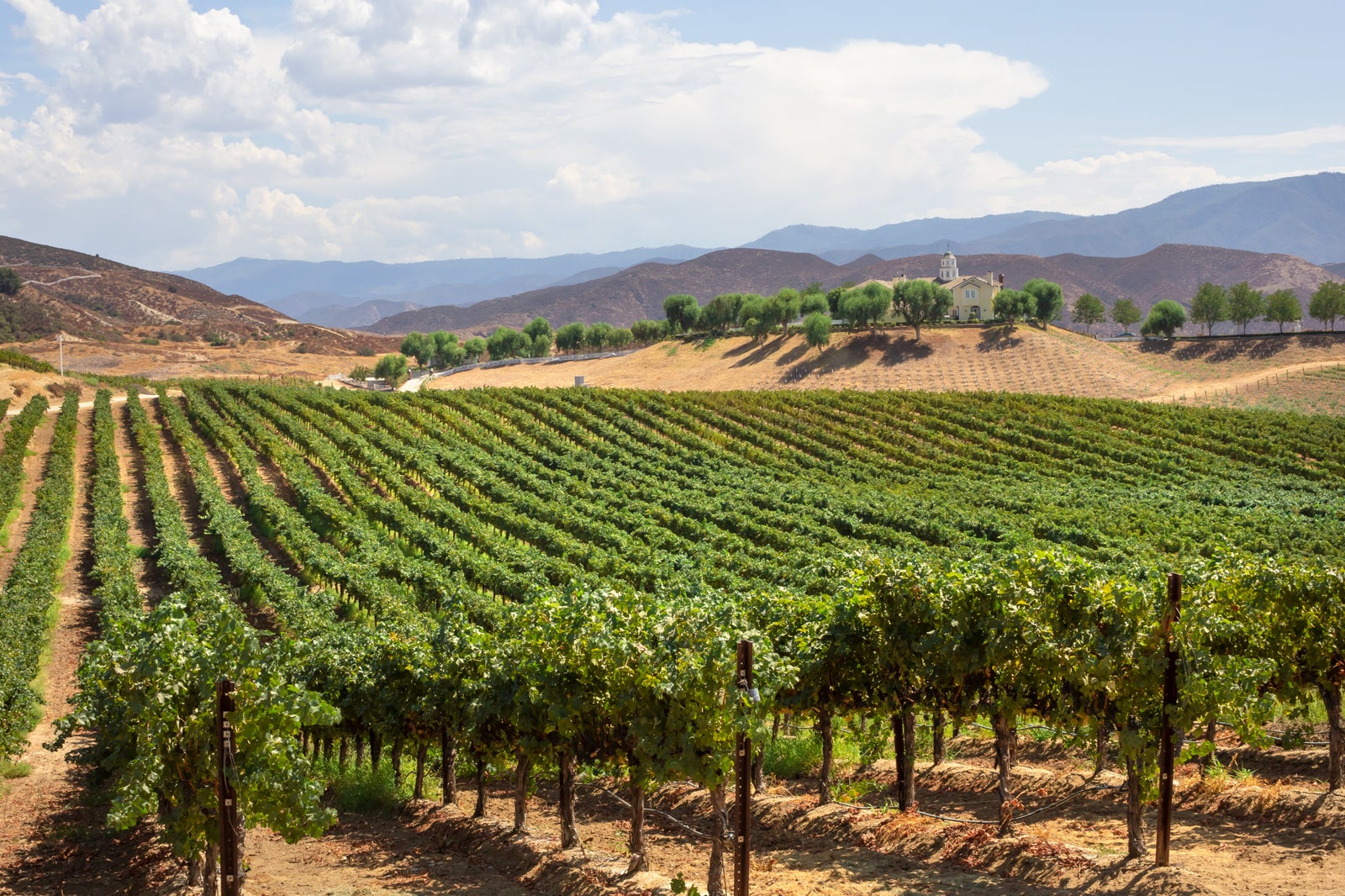Temecula Valley - Explore an Iconic Valley in Southern California Wine ...