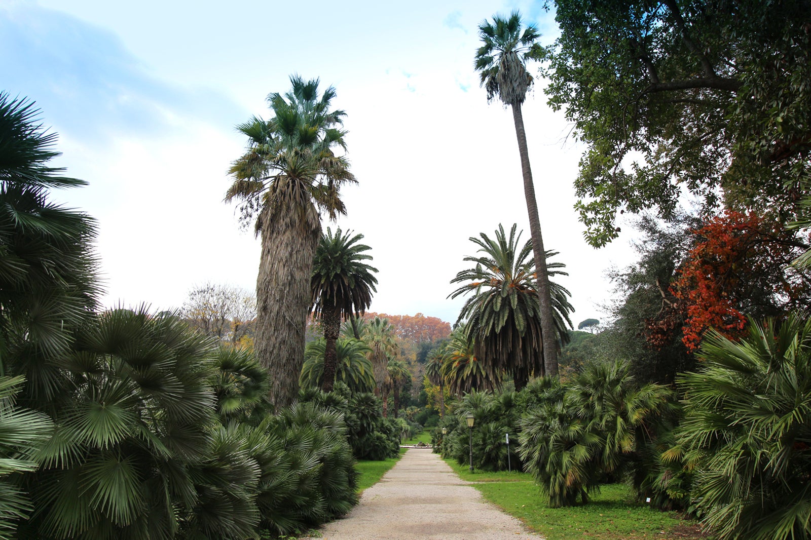 Botanical Gardens of Rome - A Shroud of Majesty Around Every Corner ...