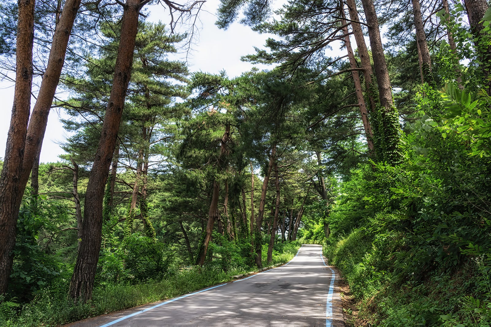 10 Things to Do in Goseong on a Small Budget - What are the Cheap ...