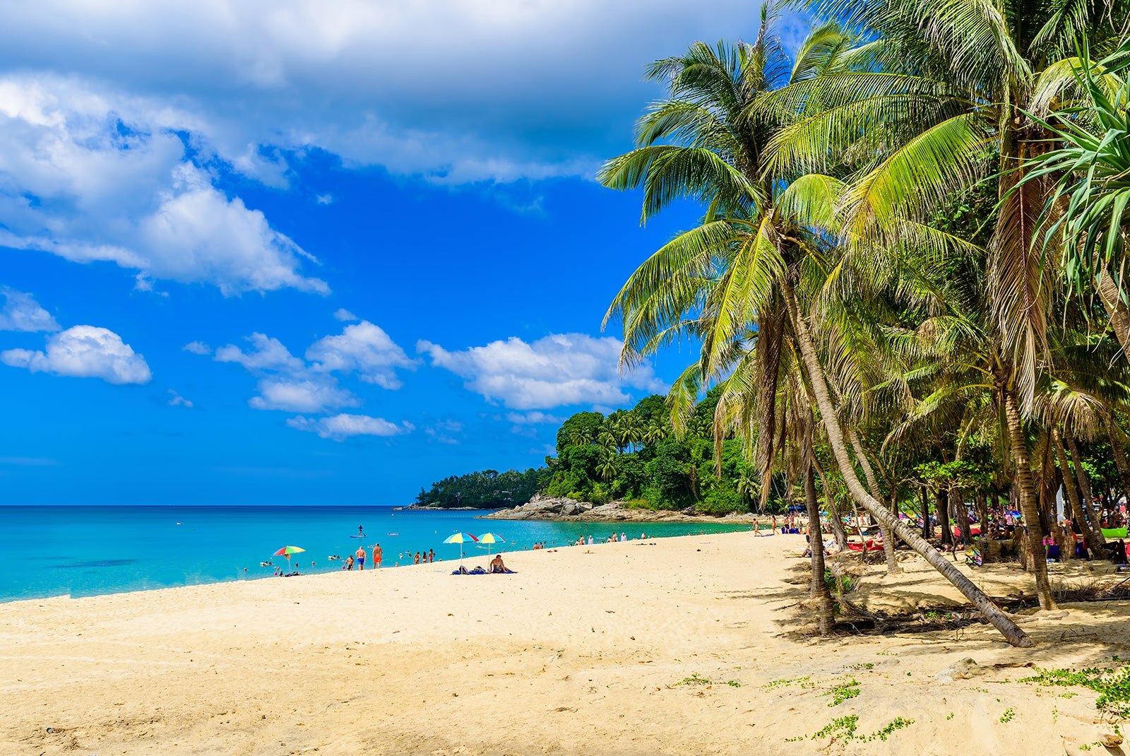 Bubble Beach Phuket At Elisa Champagne Blog Bubble Beach Phuket At Elisa Champagne Blog