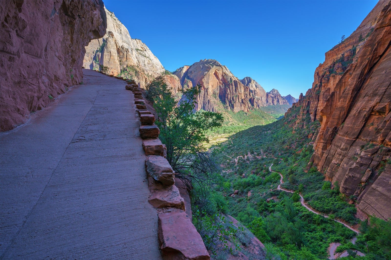 10 Best Hiking Trails In Zion National Park Hike Up Your Backpack And